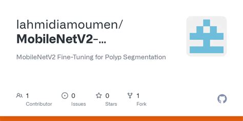 github lahmidiamoumen mobilenetv2 segmentation mobilenetv2 fine