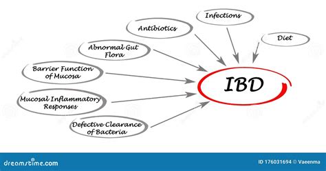 Inflammatory Bowel Disease Ibd Is Shown Using The Text Stock
