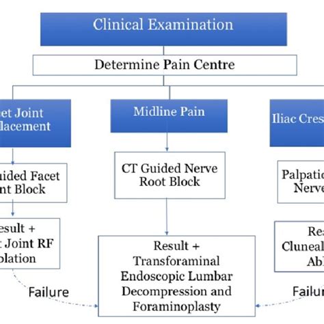 Cluneal Nerve Trigger Point Symptom Distribution Download Scientific