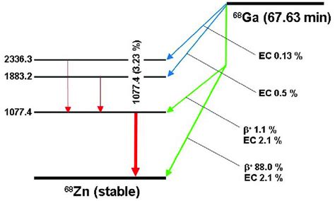 How To Draw A Decay Scheme Diagram Foster Jeanette