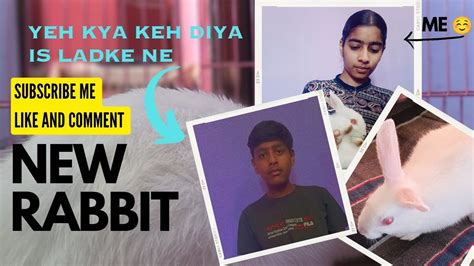 Yeh Ladke Ne Kya Keh Dia 😱 Rabbit 🐇 Viral Video Viralvideo Youtube Komalsangralblogs