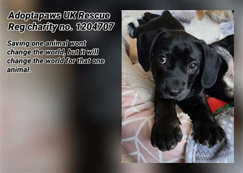 Floppy Ear Floppy Ear Added A New Photo