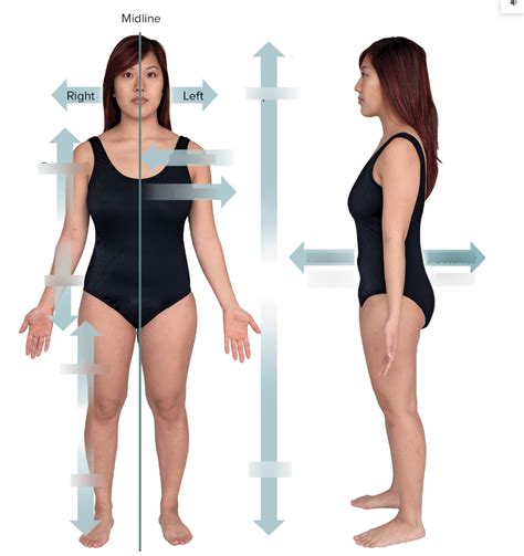 Relative Positions Diagram Quizlet