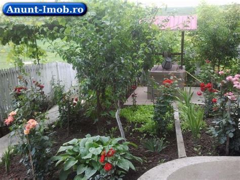 Anunturi Imobiliare Gratuite De Top Anunt Imobro