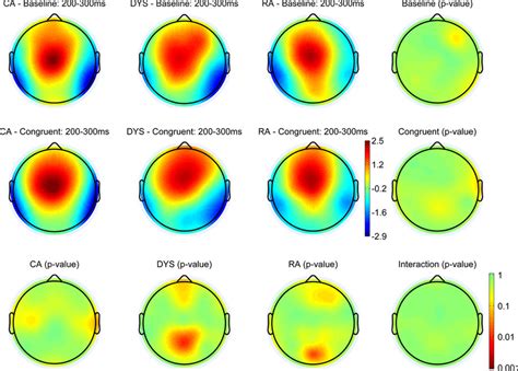 Scalp Distributions Of The Erps In Each Of The Three Groups And Two