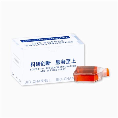 大鼠肺动脉平滑肌细胞大鼠原代细胞南京森贝伽生物科技有限公司