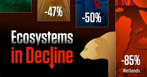 This Visualization Highlights These Declines In Four Key Ecosystems On