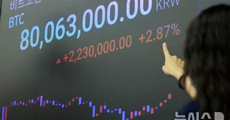 비트코인 급락 후 반등