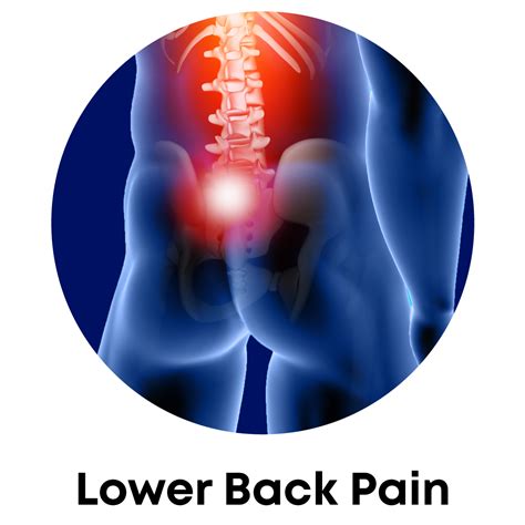 Free Ease — Triple Anti Inflammatory Formula