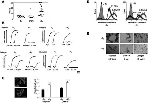 Increased Bleeding Time And Aggregation Defects In Platelets From