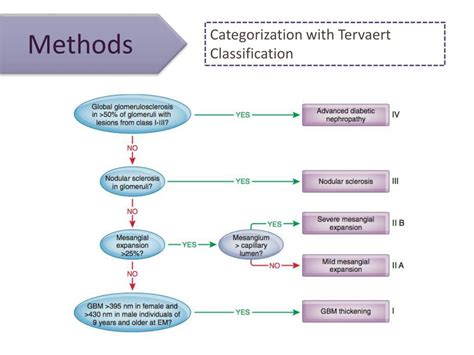 Ppt Categorization Of The Diabetic Nephropathy By Tervaert Classification In Clinical Setting
