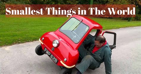 12 Smallest Things In The World Invented Natural Engineerine