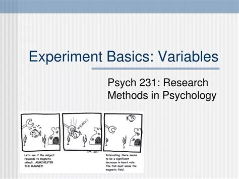 ppt experiment basics variables powerpoint presentation free