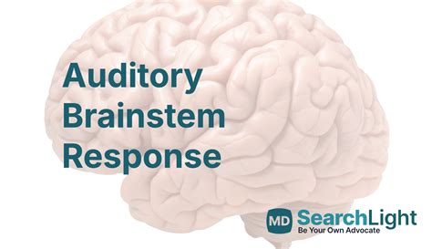 Auditory Brainstem Response Auditory Brainstem Response Abr Md Searchlight