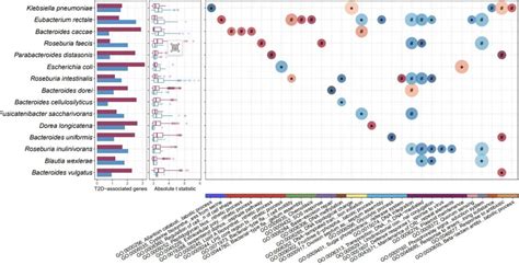 Microbiomestatplot 气泡图教程bubble Plot Tutorial Csdn博客