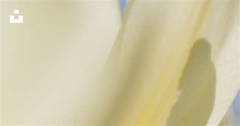 Thanks To Zdeněk Macháček For Making This Photo Available Freely On