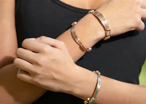 Sapling T Guide National Forest Foundation