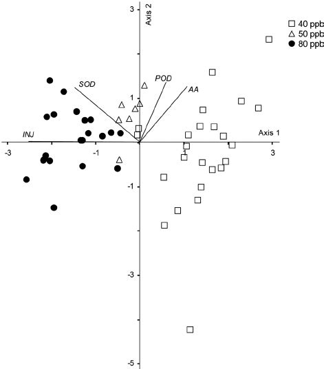 Pca Principal Component Analysis Biplot Of The Biological Responses