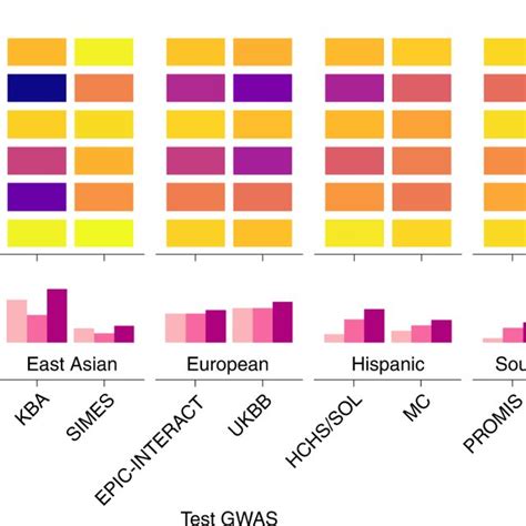 transferability of multi ancestry and ancestry specific grs into gwas