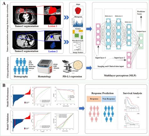 Radiomics Workflow A The Workflow Includes Data Collection Design Of