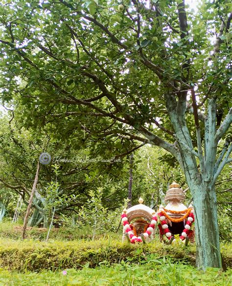 🙏🏻 ️🌺jai Devta Bendra Kotkhai The Best Place Ever