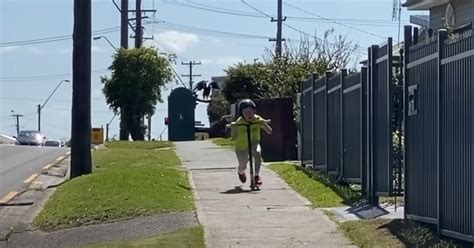 Crow Exacts Revenge On Boy With Scooter Ebaums World