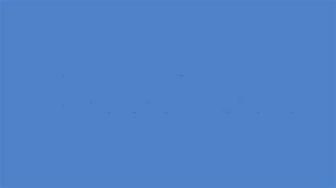 Realtimedata Harry Ault