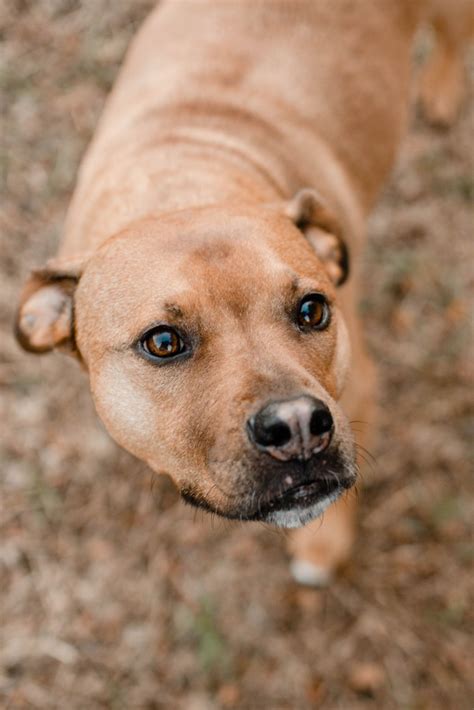 Im Happy To Share That I Joined Edge Animal Health As Director Of