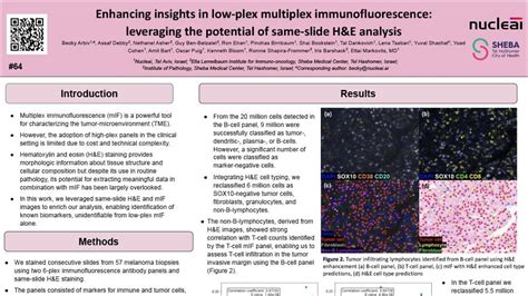 Enhancing Insights In Low Plex Multiplex Immunofluorescence Leveraging The Potential Of Same