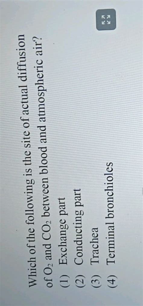 Which Of The Following Is The Site Of Actual Diffusion Of O2 And Co2 Be