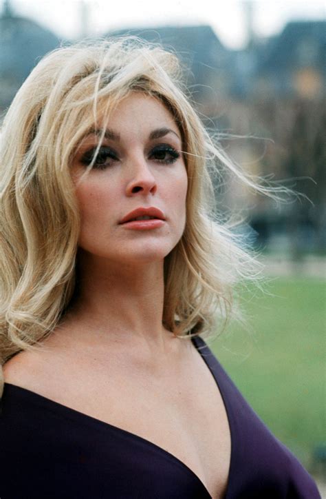 Sharon Tate Photo Of Pics Wallpaper Photo Theplace