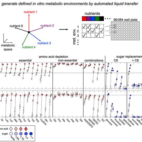 Experimental Pipeline To Cultivate Cancer Cells In Multiple In Vitro