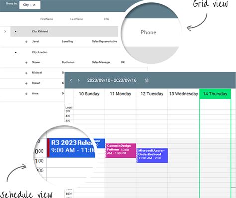 Themes Style Telerik Ui For Winforms