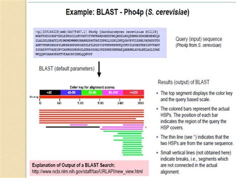 Blast Basic Local Alignment Search Tool Pptx