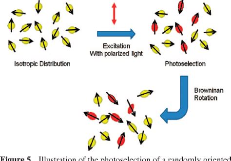 Figure 1 From Fluorescence Polarization Anisotropy In Diagnostics And Imaging Semantic Scholar