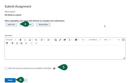 the assignment preview in brightspace
