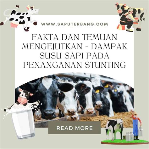 Menjelajahi Dampak Susu Sapi Pada Stunting Fakta Dan Temuan Sapu