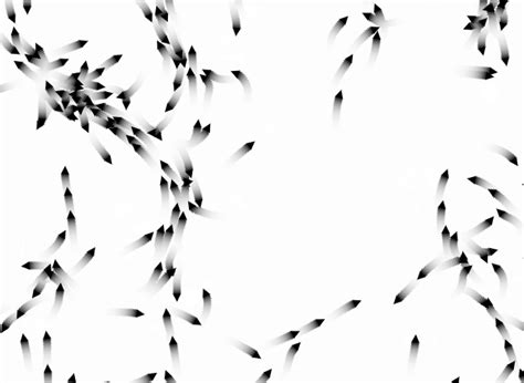 Boids By Farawaydrip30