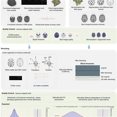 Schematic Diagram Summarizing The Rs Fmri Processing Pipeline Employed Download Scientific