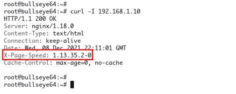 How To Set Up Nginx With Google Pagespeed Module On Debian 11