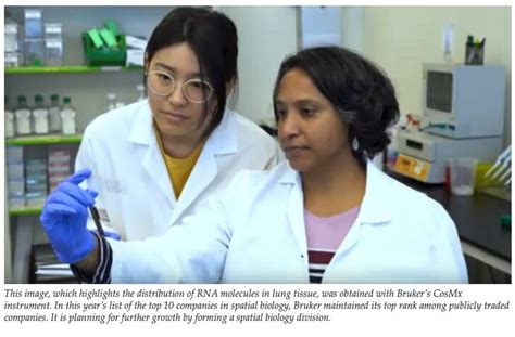 Spatial Bio Hub On Linkedin Spatialbiology 3dspatialbiology Spatialtranscriptomics…