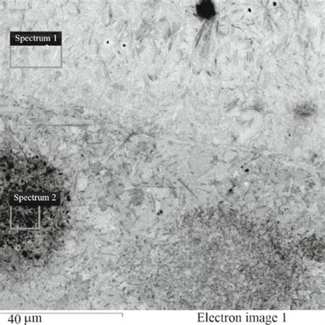 Sem Image Of The Microstructure Of The Fused On Layer And Of The Area