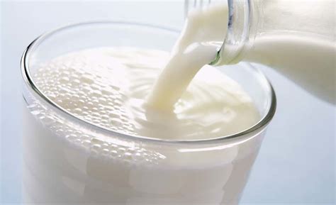 Dieta De La Leche Para Deportistas Las Mejores Dietas Del Mundo