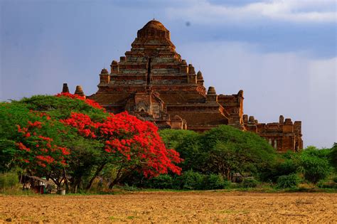 ကိုစု မင်းကွန်း
