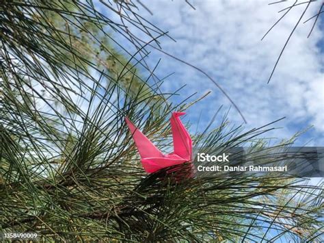 종이 접기 종이로 만든 크레인 나무의 가지 사이에서 볼 수 0명에 대한 스톡 사진 및 기타 이미지 0명 개념 경관