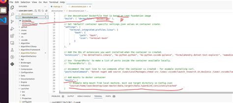 Vscode使用debugpy调试ubuntu环境下quantconnect的docker镜像python策略 哔哩哔哩