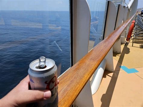 David Bachicha On Linkedin I Often Hear Others Complain About Their Work Following Them On…