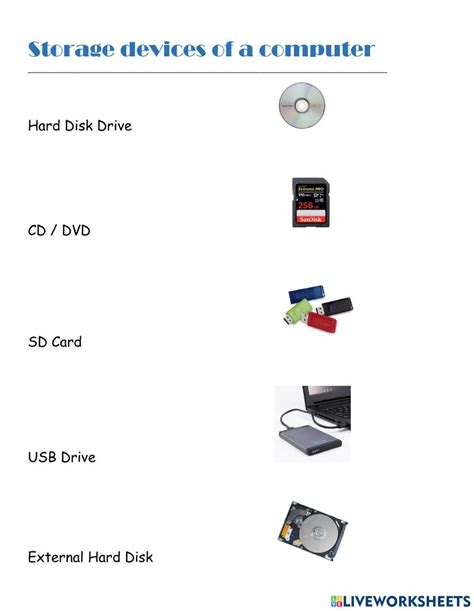 Storage Devices Of Computer For Class 1 Worksheet At Pauline Dane Blog