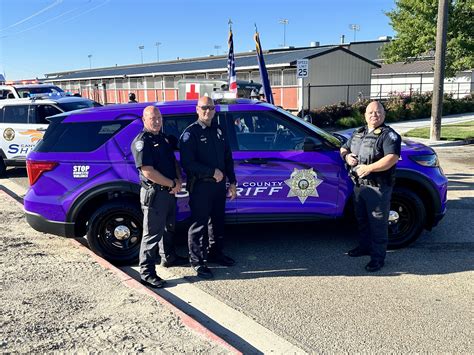 Ccso Unveils New Domestic Violence Awareness Patrol Vehicle And Badge