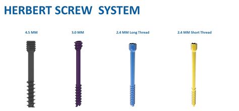 Herbert Screw System